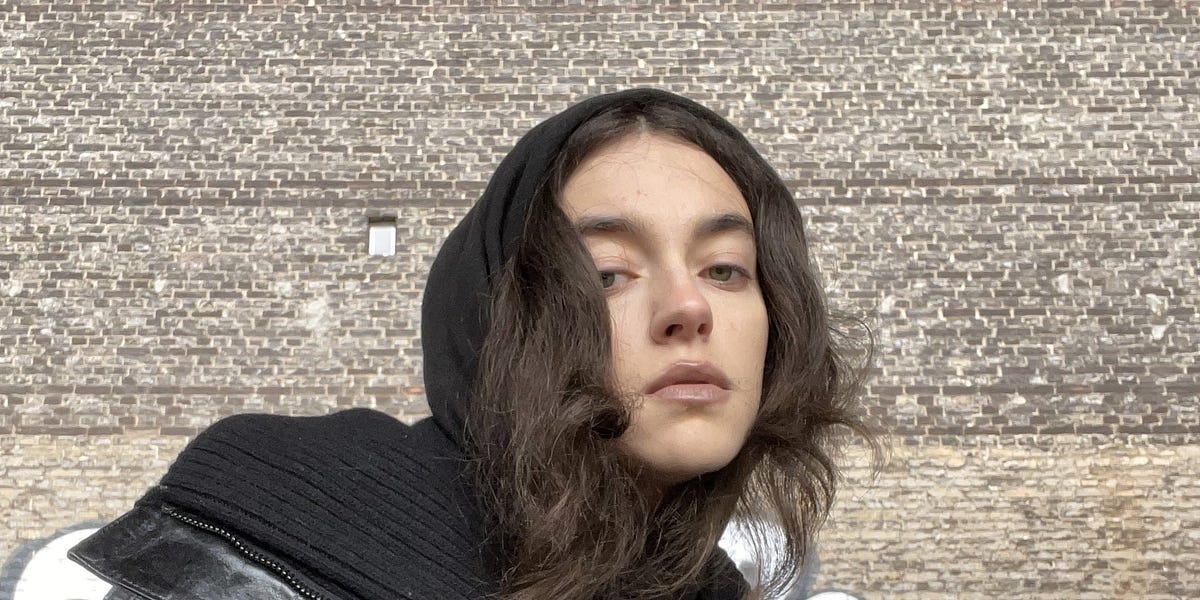 Celeste Aria's Guide to Internet Fame - by Celeste Aria