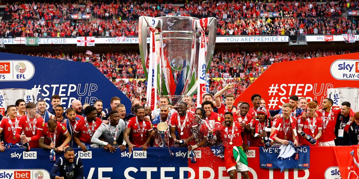 The Impact of Promotion to the Premier League