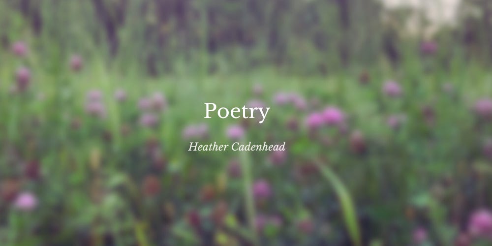 Poetry - by Heather Cadenhead - Firelight