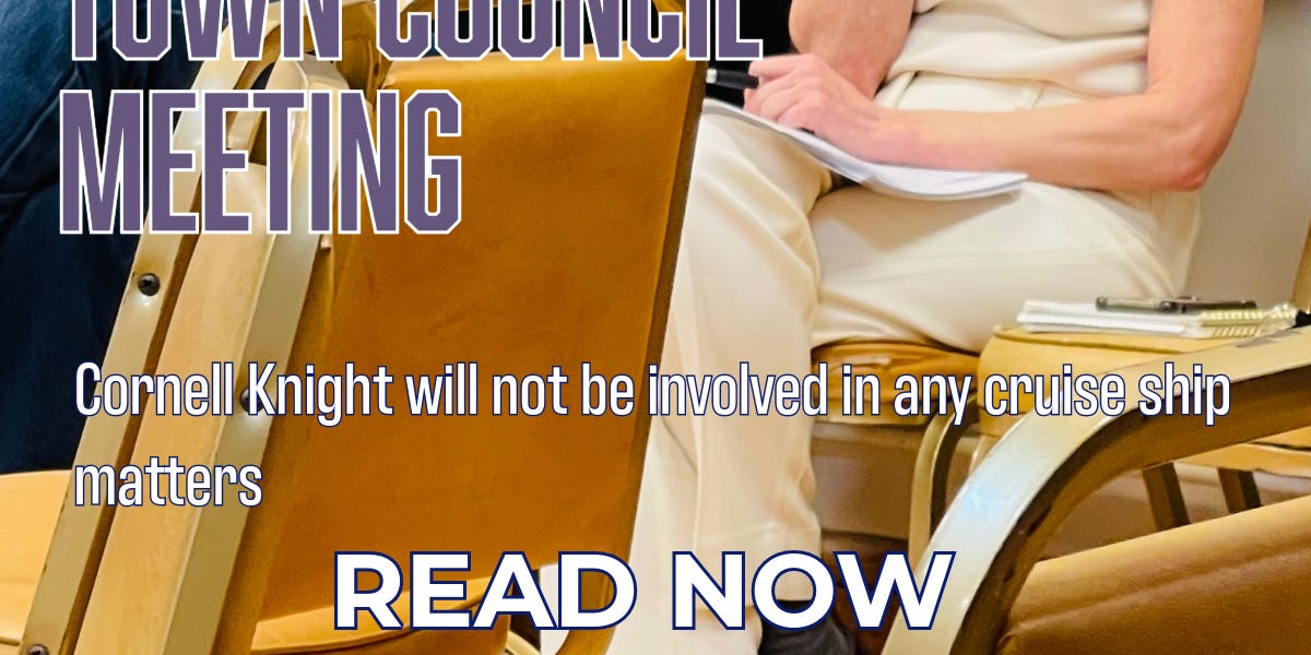 Sarah Gilbert Heads Last Town Council Meeting