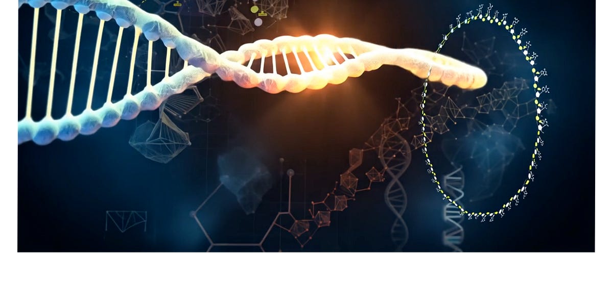Circular DNA & RNA - by Luke McLaughlin