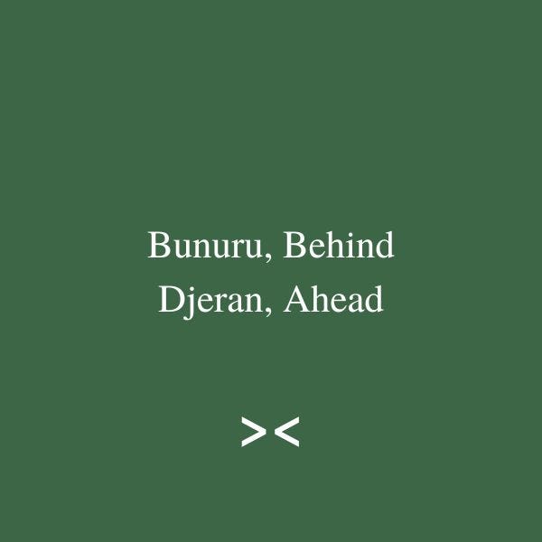 Bunuru, Behind | Djeran, Ahead - by Bianca Breen - Manifest