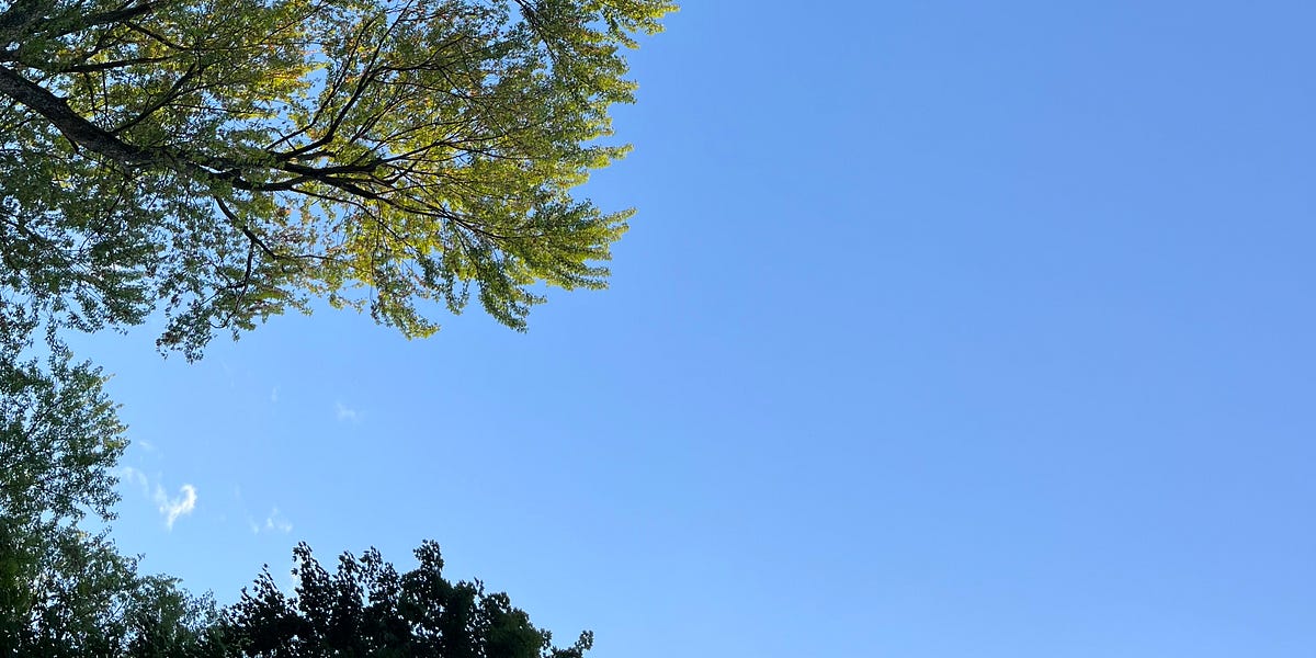 Hard weeks, and little wonders - by Kate Brashares