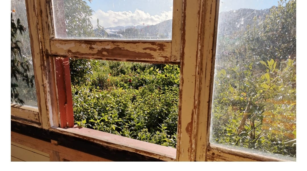 Garden Guilt, Dark Moon - by Ellowen - INHABIT