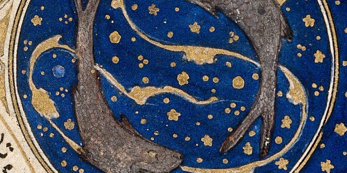 The Case For Astrology - by Sam Kahn - Castalia