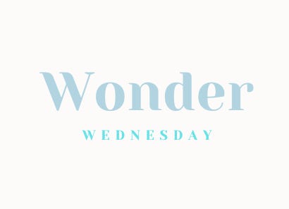 Wonder Wednesday - by Maya C. Popa - Poetry Today