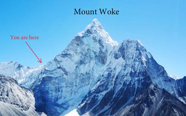 Wokism Is Just Beginning - Nathan Cofnas’s Newsletter