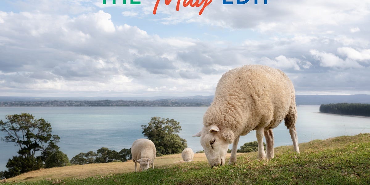 The May Edit - by Joanna Goddard and Kaitlyn Teer
