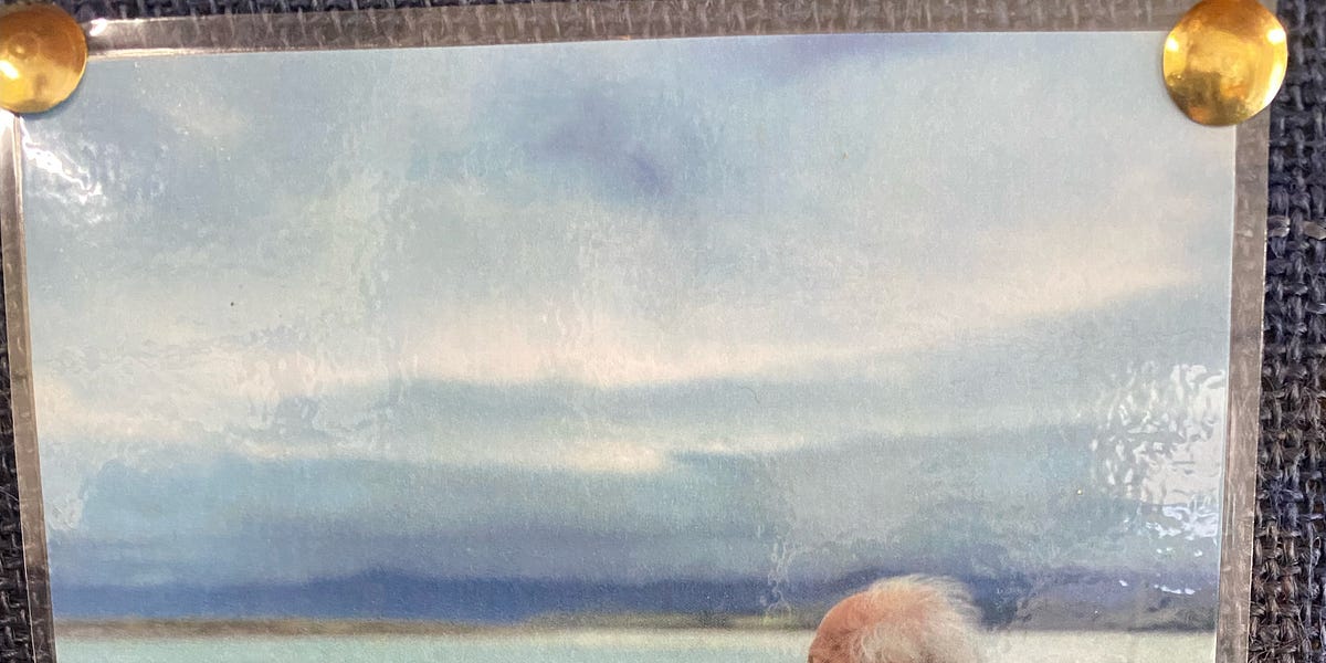 So much of what was there remains - by David Slack