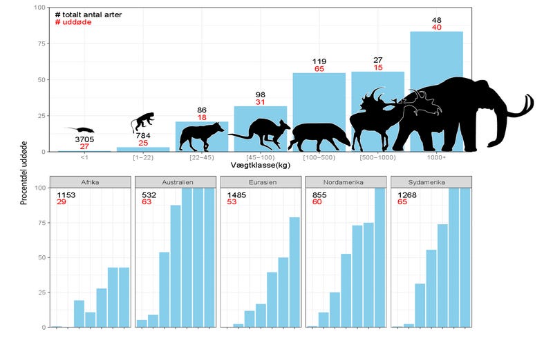 Human Hunting and the Extinction of Megafauna: A 50,000-Year Review