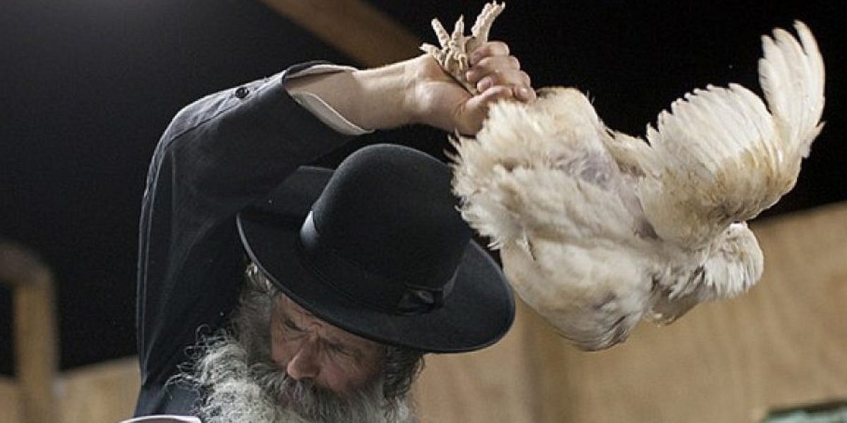 Animal Sacrifice in Judaism: Kapparot - Karl’s Substack