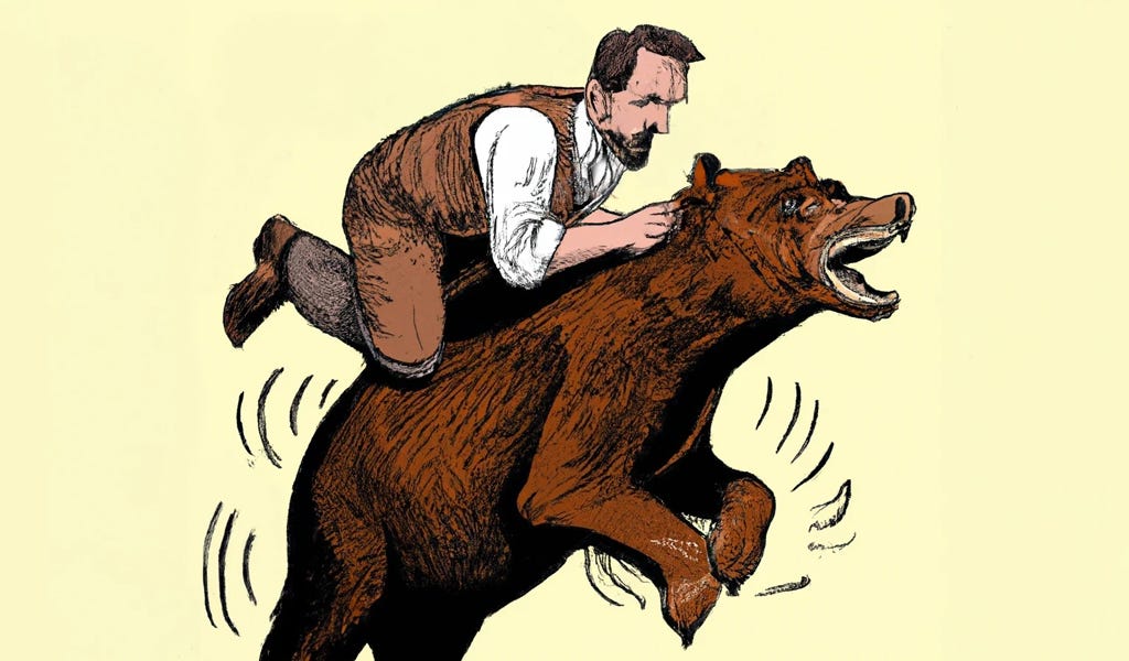The Man Who Rode the Bear - by Paul Brown