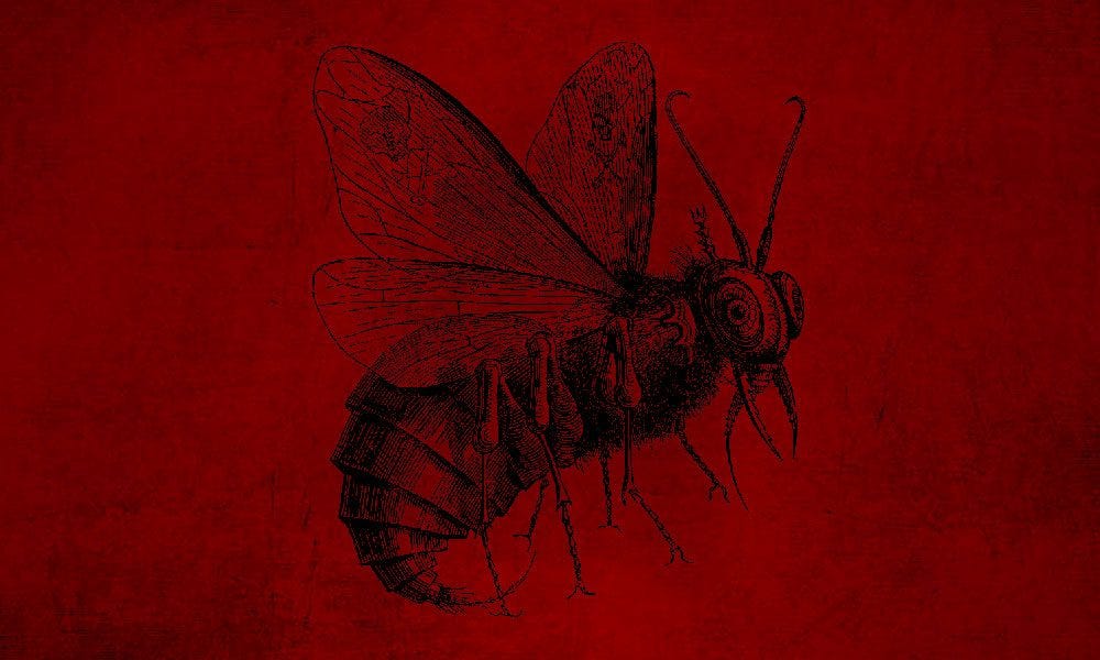 El Demonio Belcebú, Señor de las Moscas