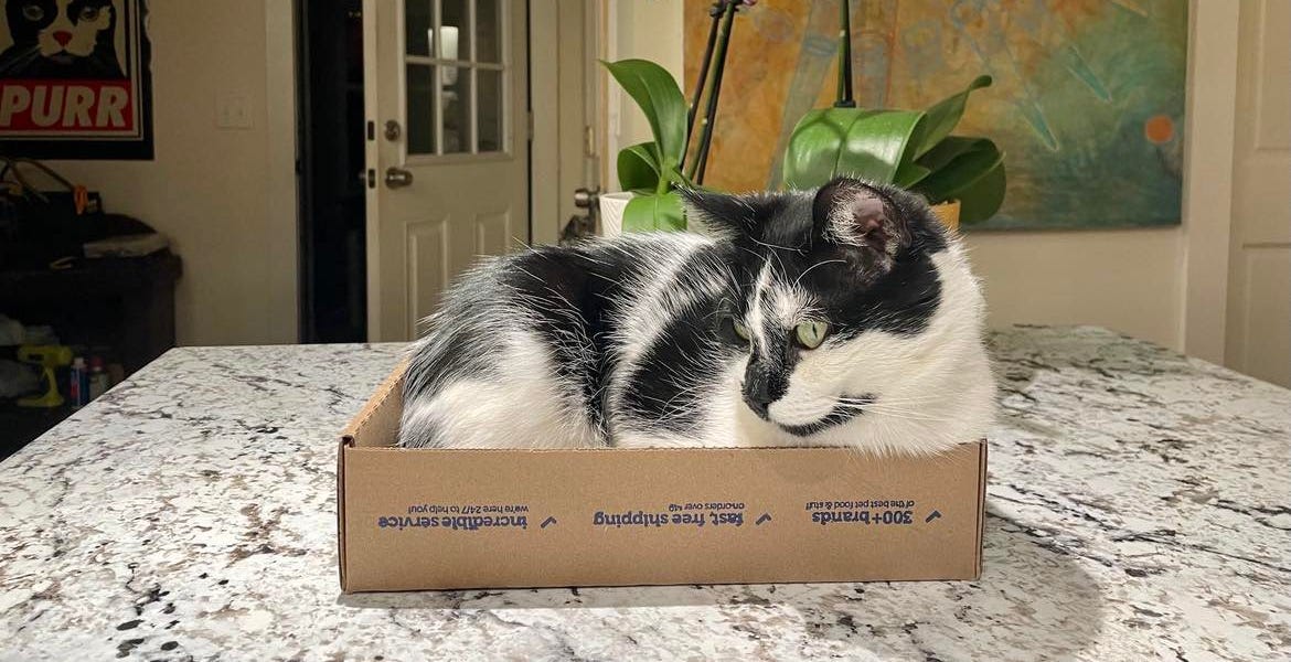 Taaa-daaa! The counter-box compromise!