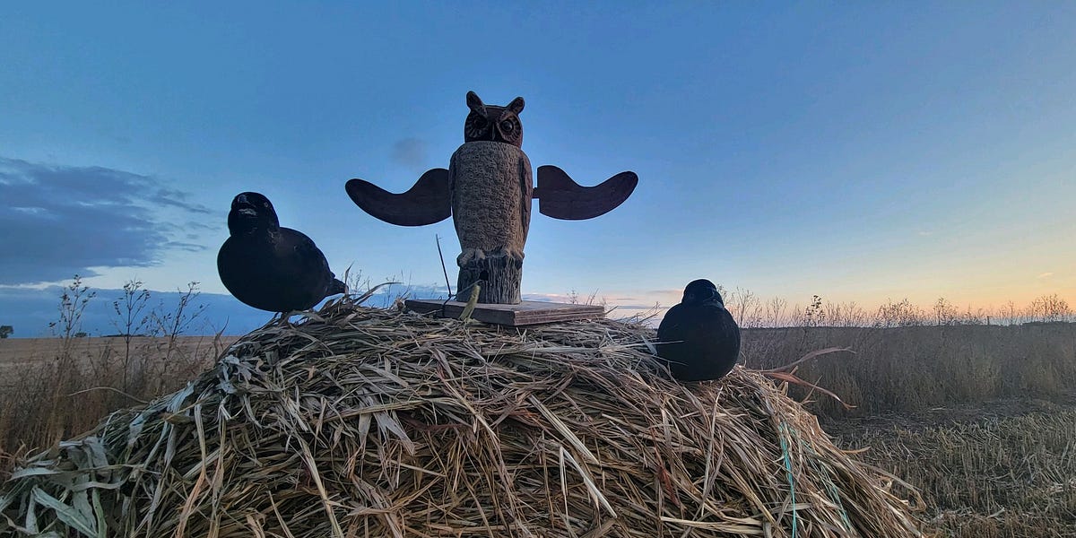 Turner County crow hunters continue 104-year tradition Wednesday