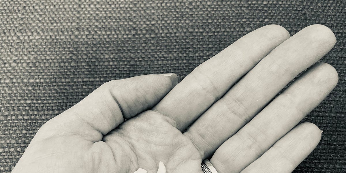 Living the Questions - by Cameron Bellm