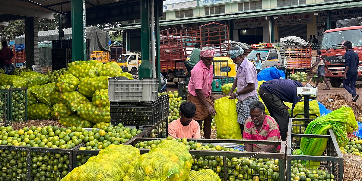 With Ninjacart: A Deep Dive into Bangalore’s Largest Wholesale Fruit Market🍋