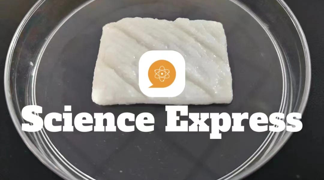 From Lab to Plate: Chinese Scientists Develop 3D-Printed Fish Fillets