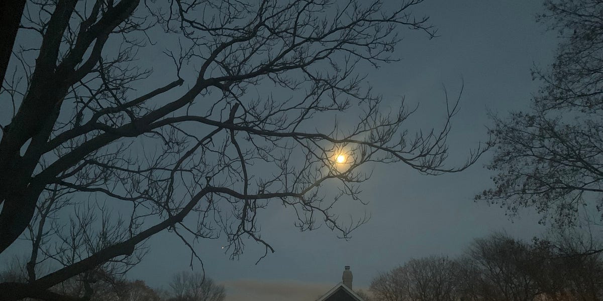 The Sigh of the Weary - by Connor Brown