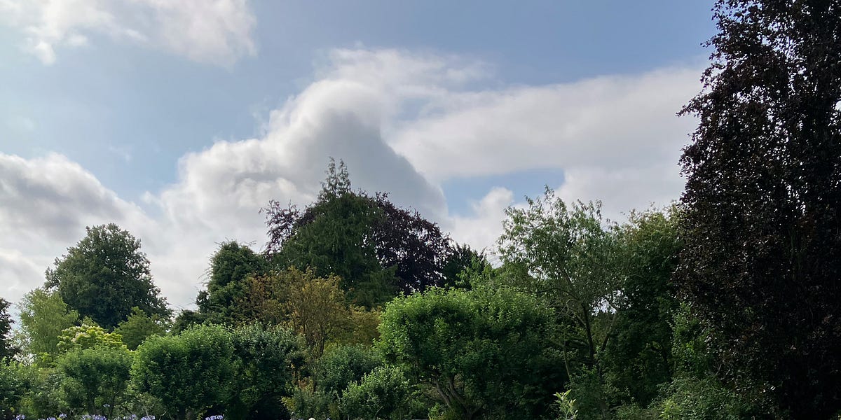 Work in progress - Marple’s Substack