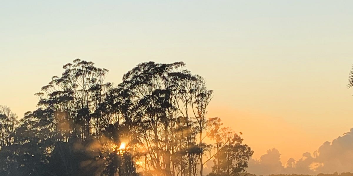 Wondering and wandering. - by Georgia Rhodes