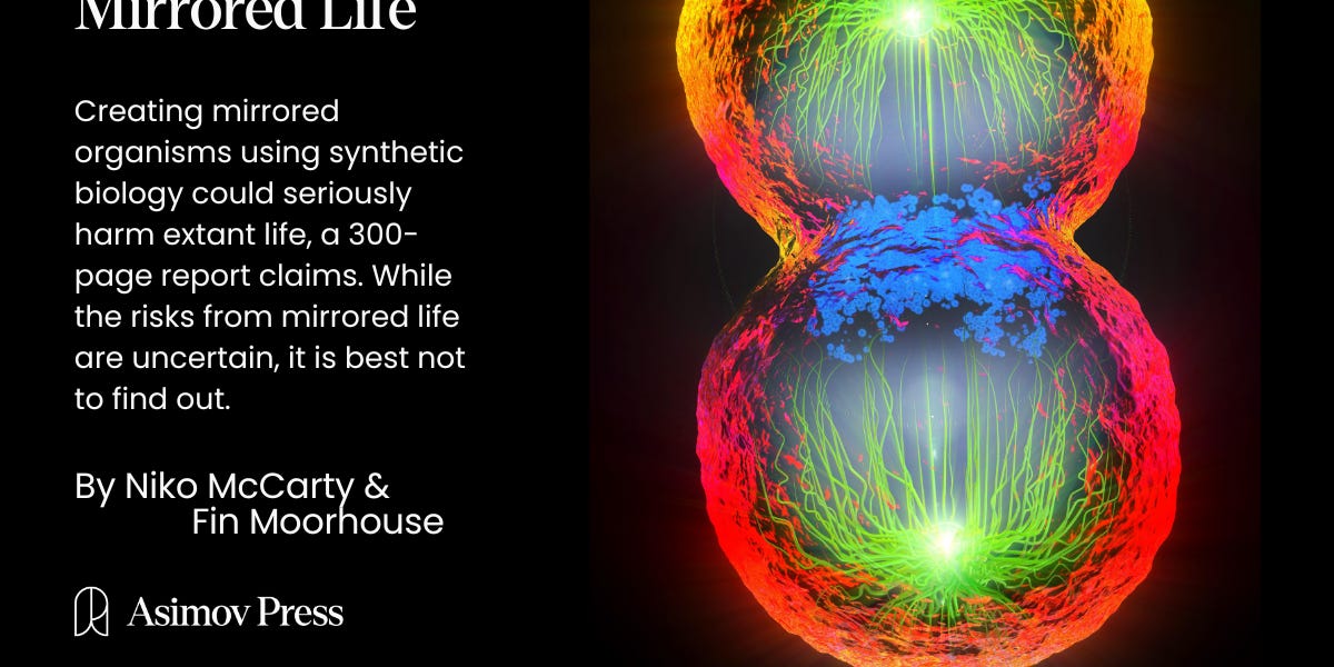 The Dangers of Mirrored Life