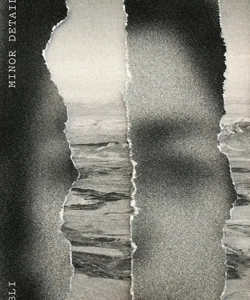 Minor Detail by Adania Shibli (translated by Elisabeth Jaquette) New ... Minor Detail by Adania Shibli (translated by Elisabeth Jaquette) New ...