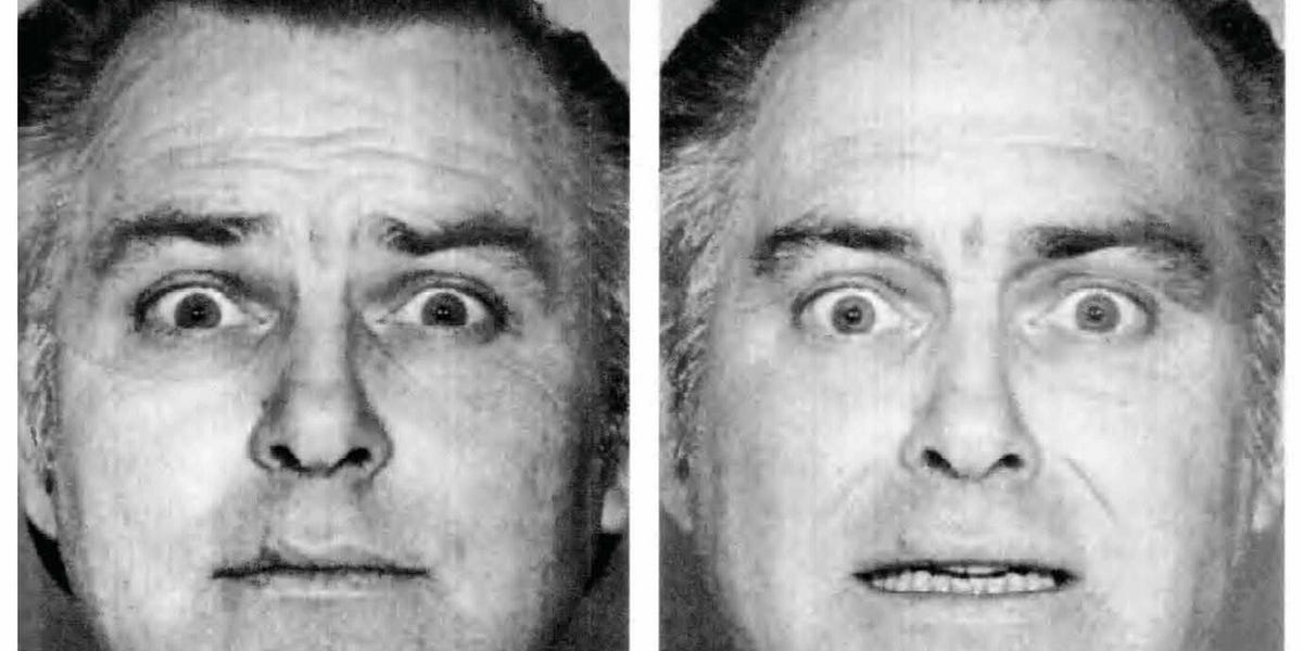 Is Horror an Emotion? - by Coltan Scrivner