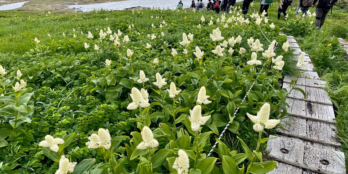 Trải nghiệm leo núi dễ - Biozen’s Substack