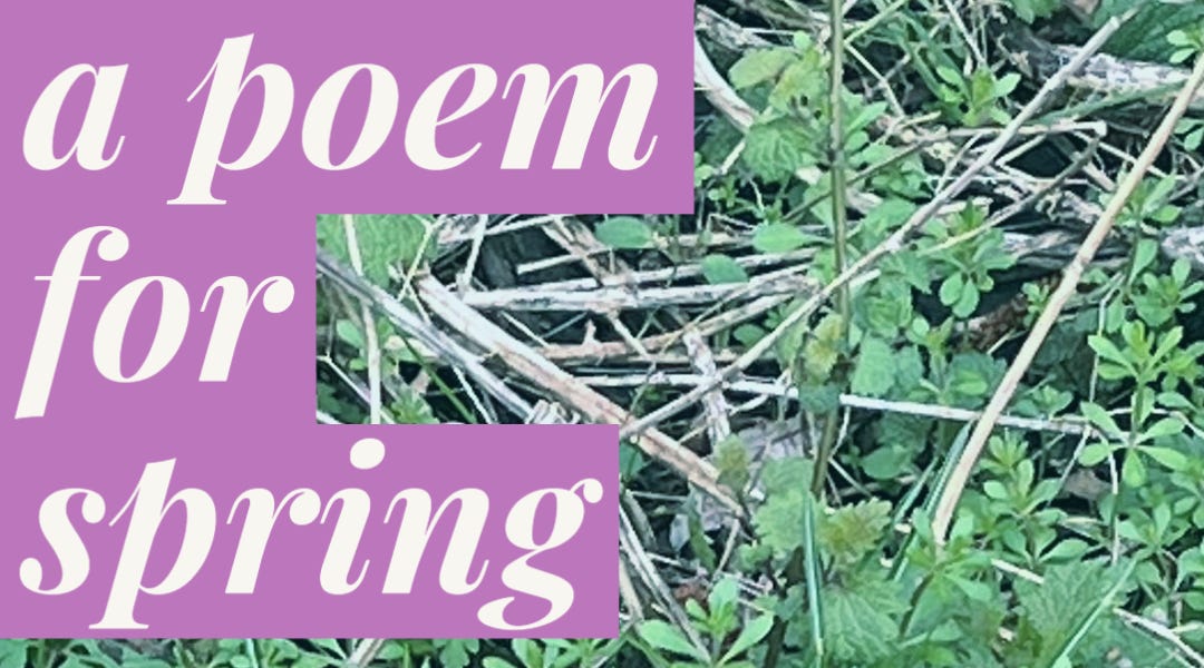 a poem for spring - by Fran Kitson-Woodhouse💖💜💙
