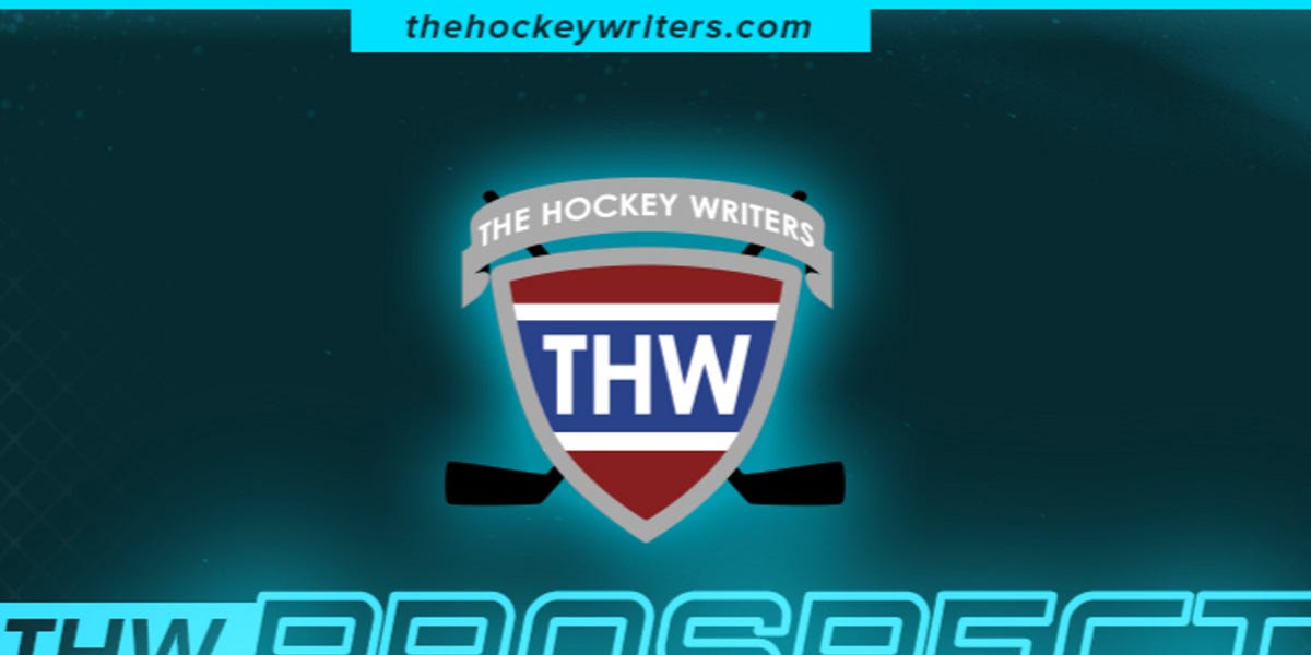 The Hockey Writers Prospect Corner - Detroit Red Wings Deep Dive With ...