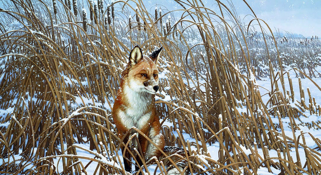 The Swamp Fox - Freedom Fox