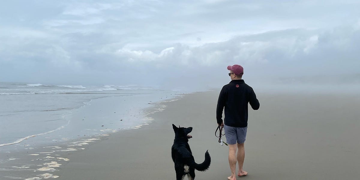 Det. Eng. Weekly #97 - Goodbye, my friend