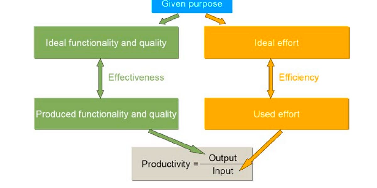 RDEL #5: Software Engineering Productivity: How do you define it? (Part I)