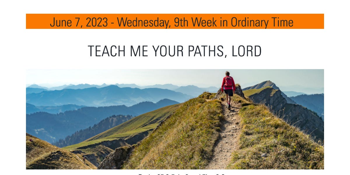 Teach me your paths, Lord - Krakus’s Biblical Reflections