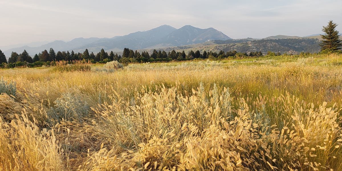 Ultimate Guide to Bozeman - by Lidia