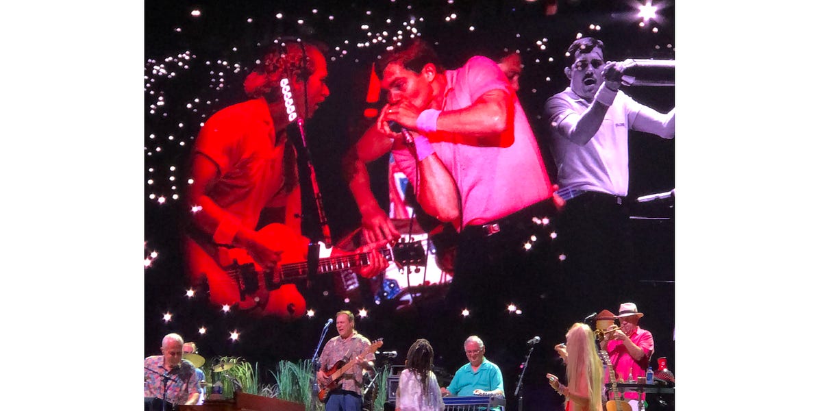 THE MAGIC OF FACEBOOK - Part 1: Photographs are taken to be shared.