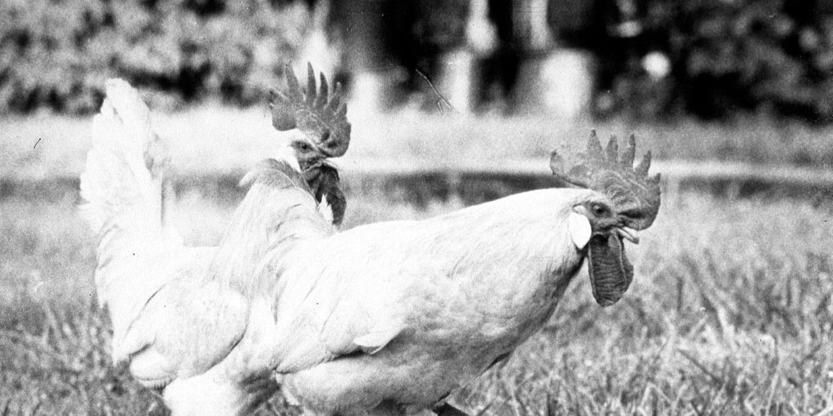 Hey would you mind killing that patient for me thnx