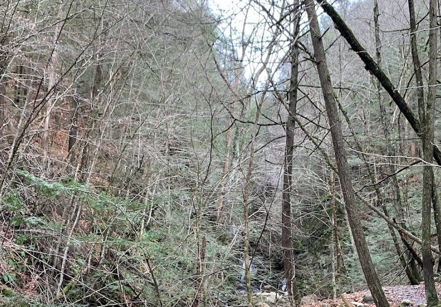 Notch Brook - by Hugh Francis - inguz outcomes