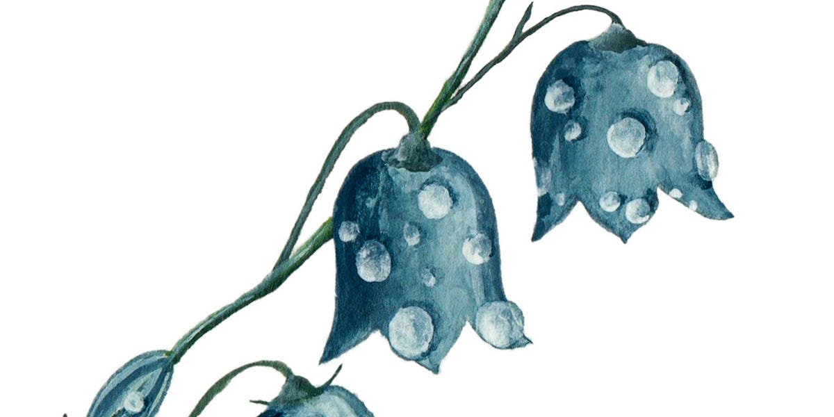 Rainfall - by Candace Rose Rardon