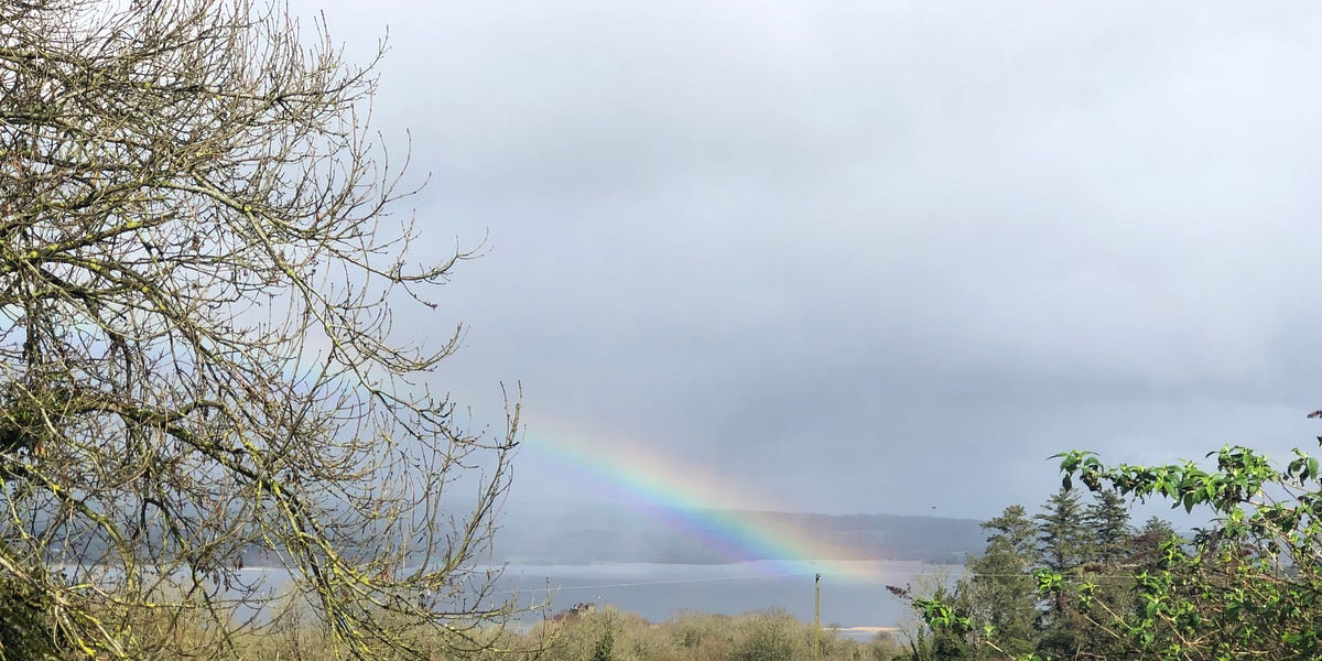 Lá fhéile Pádraig sona dhuit! - by Kerri ní Dochartaigh