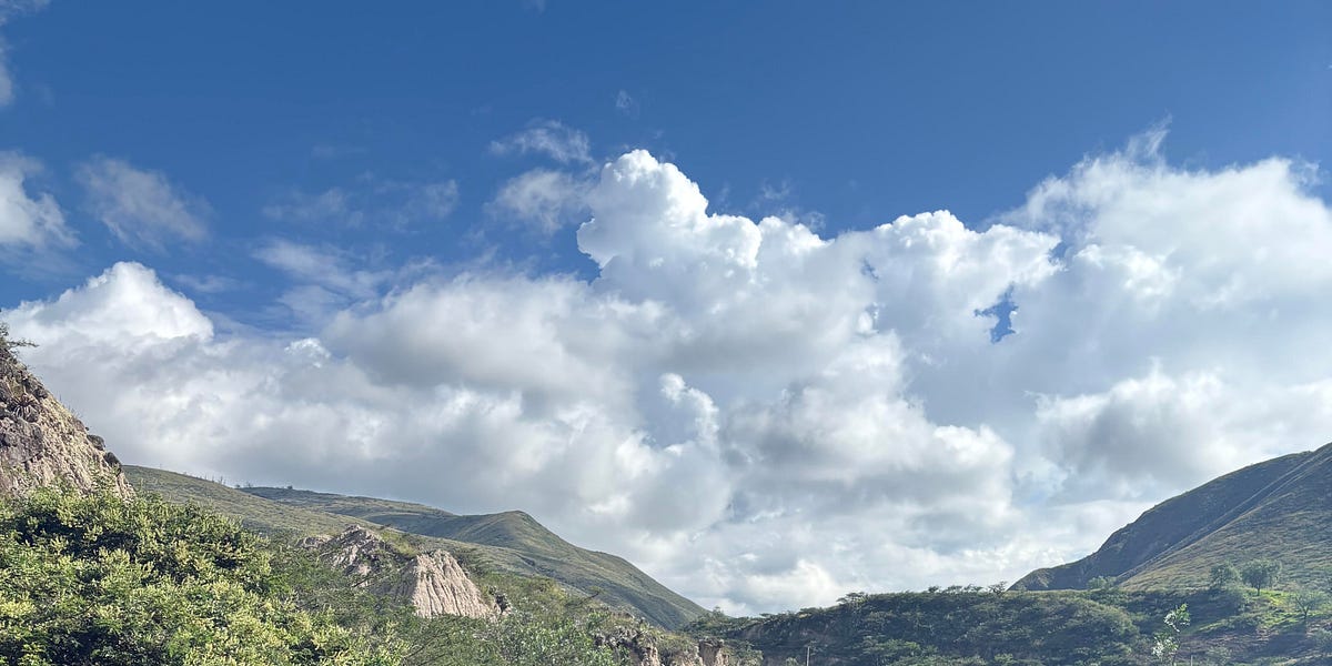 The Jungle be Jungling - Jack’s Substack