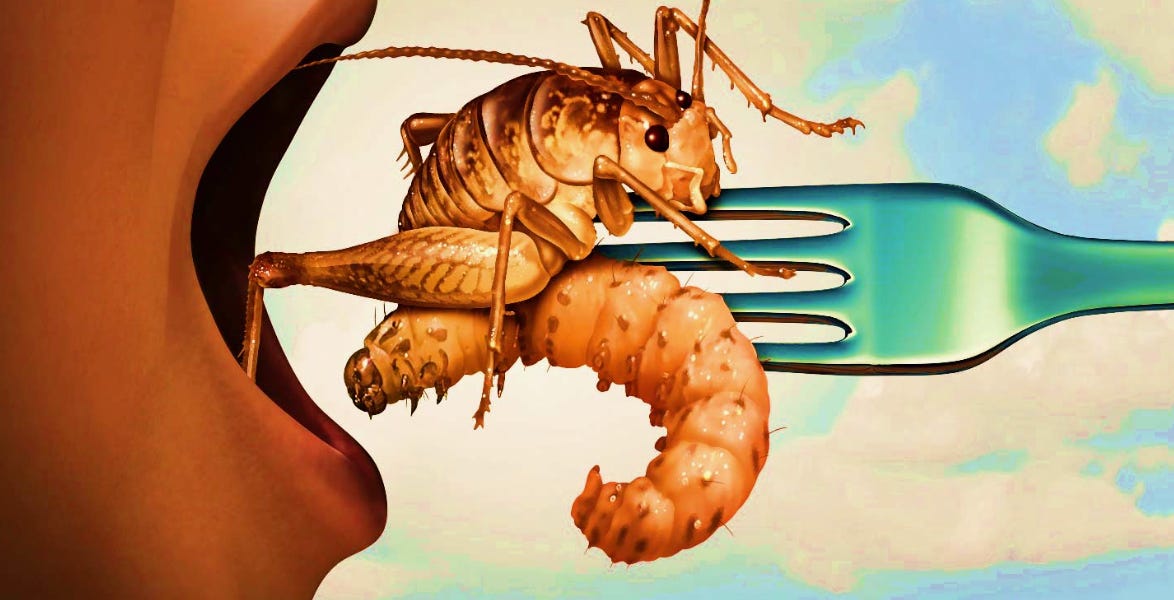 The Most Unappetizing Post: Toxo Contamination of Edible Insects, aka ...