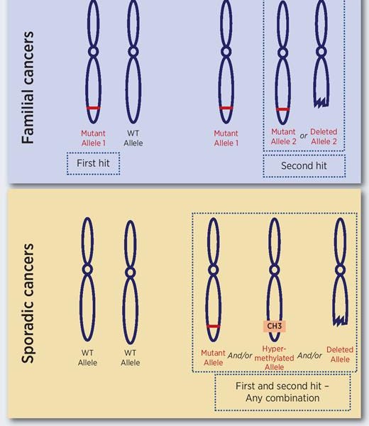 The Spike Protein and the “Two-Hit Hypothesis” of Cancer Causation