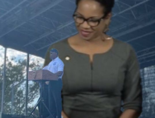 But You're Not NYC Councilwoman Debi Rose