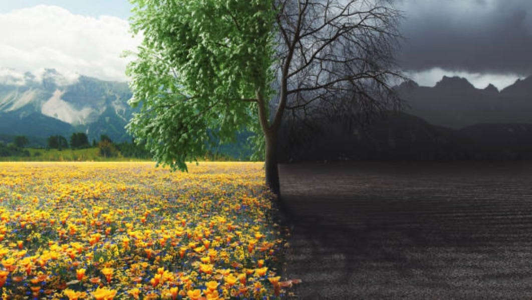 Good vs Evil - by Angela73 - Angela’s Substack