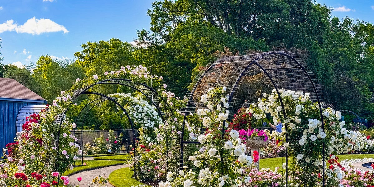 Approachable - by Sheila Moeschen - Stay Curious