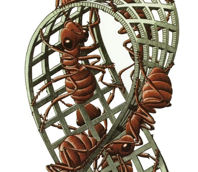 Mathematical Curiosities I - by David