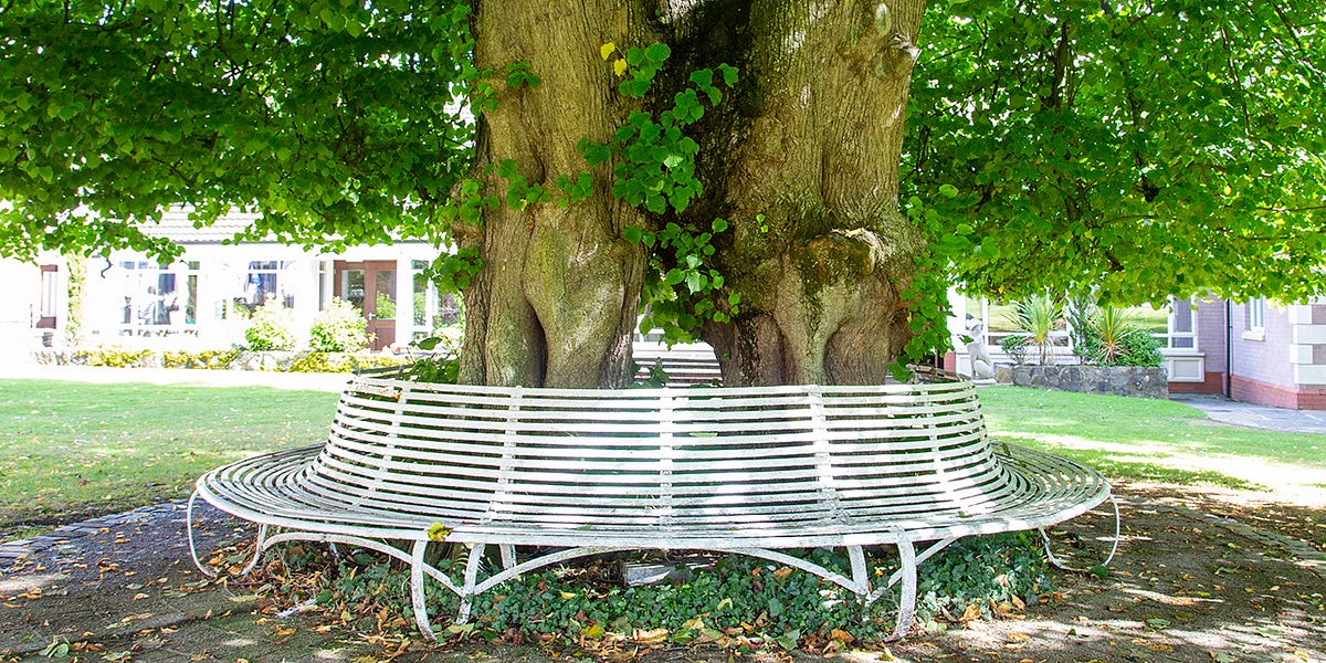 10. Peace and Reconciliation Tree - by Paul Wood