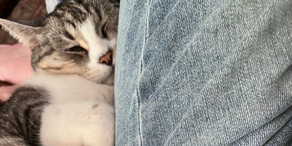 32) We're Not All Aliked - by Kathy Valentine